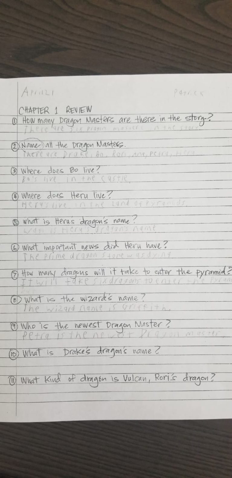 Patrick's Autism Recovery: A Year of Triumph - Optimum Health