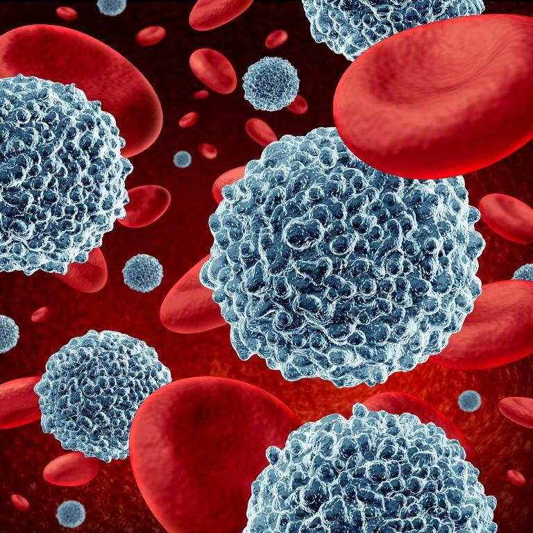 Stimulating Stem Cell Production in Animals - Optimum Health Natural ...