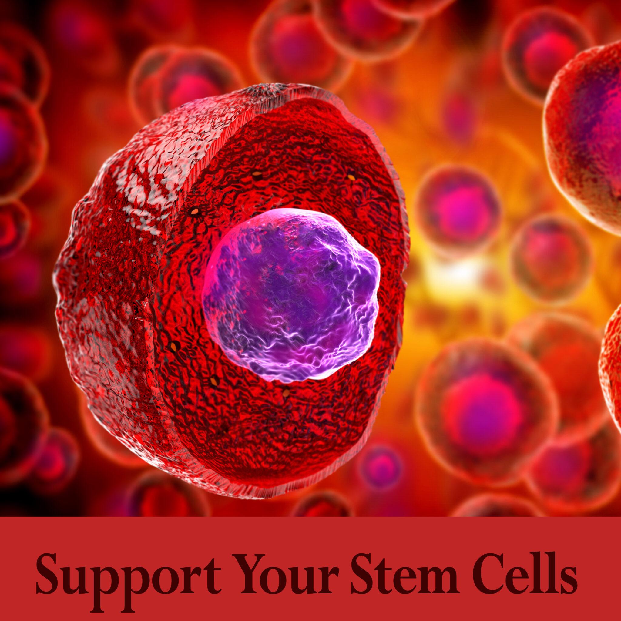 Optimum Health Telehealth - We Help You Feel Good Again Naturally!